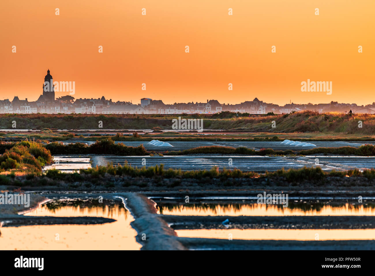 Sea marsh hi-res stock photography and images - Alamy