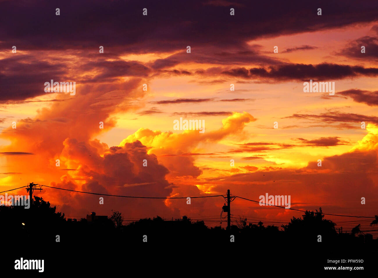 Silhouette of utility pole and tree at the sunset Stock Photo - Alamy