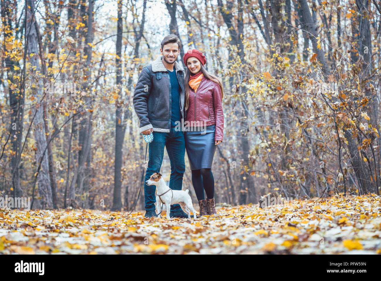Couple in fall having walk with dog in a park Stock Photo - Alamy
