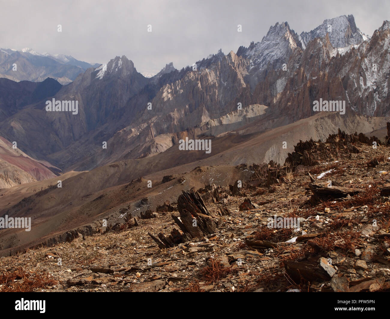 Hemis National Park, Markha valley trek, Ladakh Stock Photo - Alamy