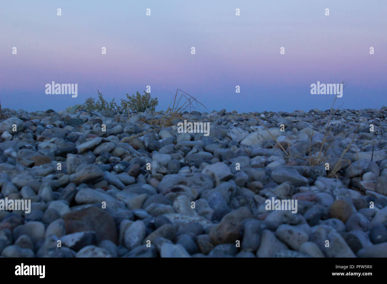 Violet beach hi-res stock photography and images - Alamy