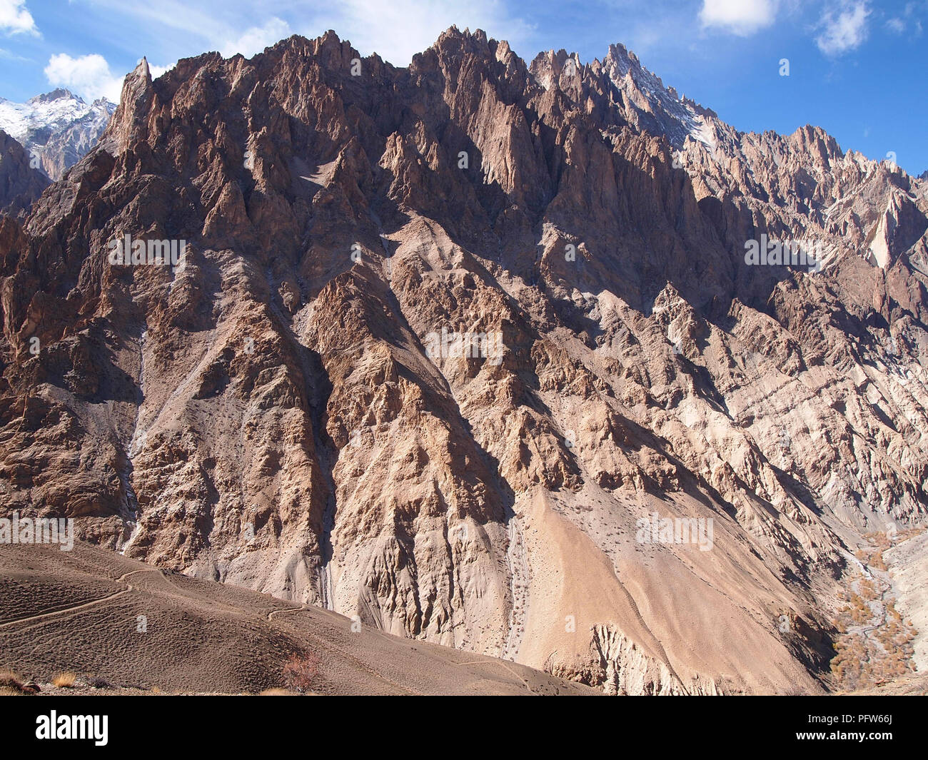 Snow leopard hemis national park hi-res stock photography and images ...