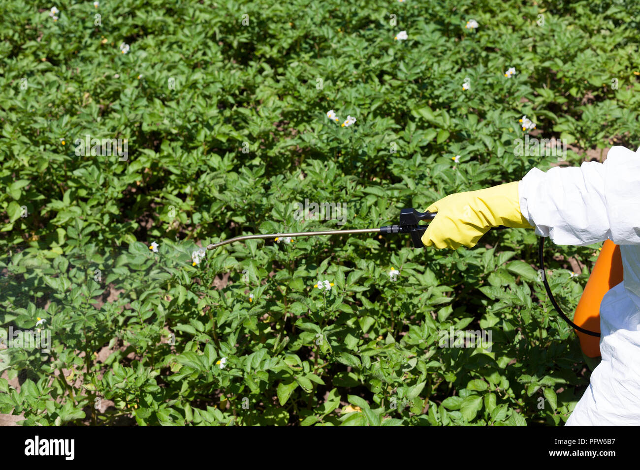 Pest management spray hi-res stock photography and images - Alamy