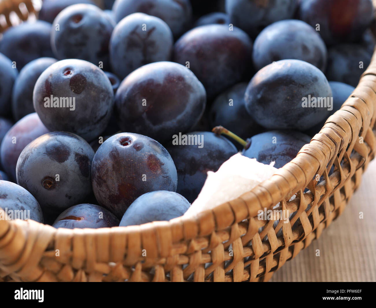 Harvested fresh organic plums in a basket, healthy food or self supply ...