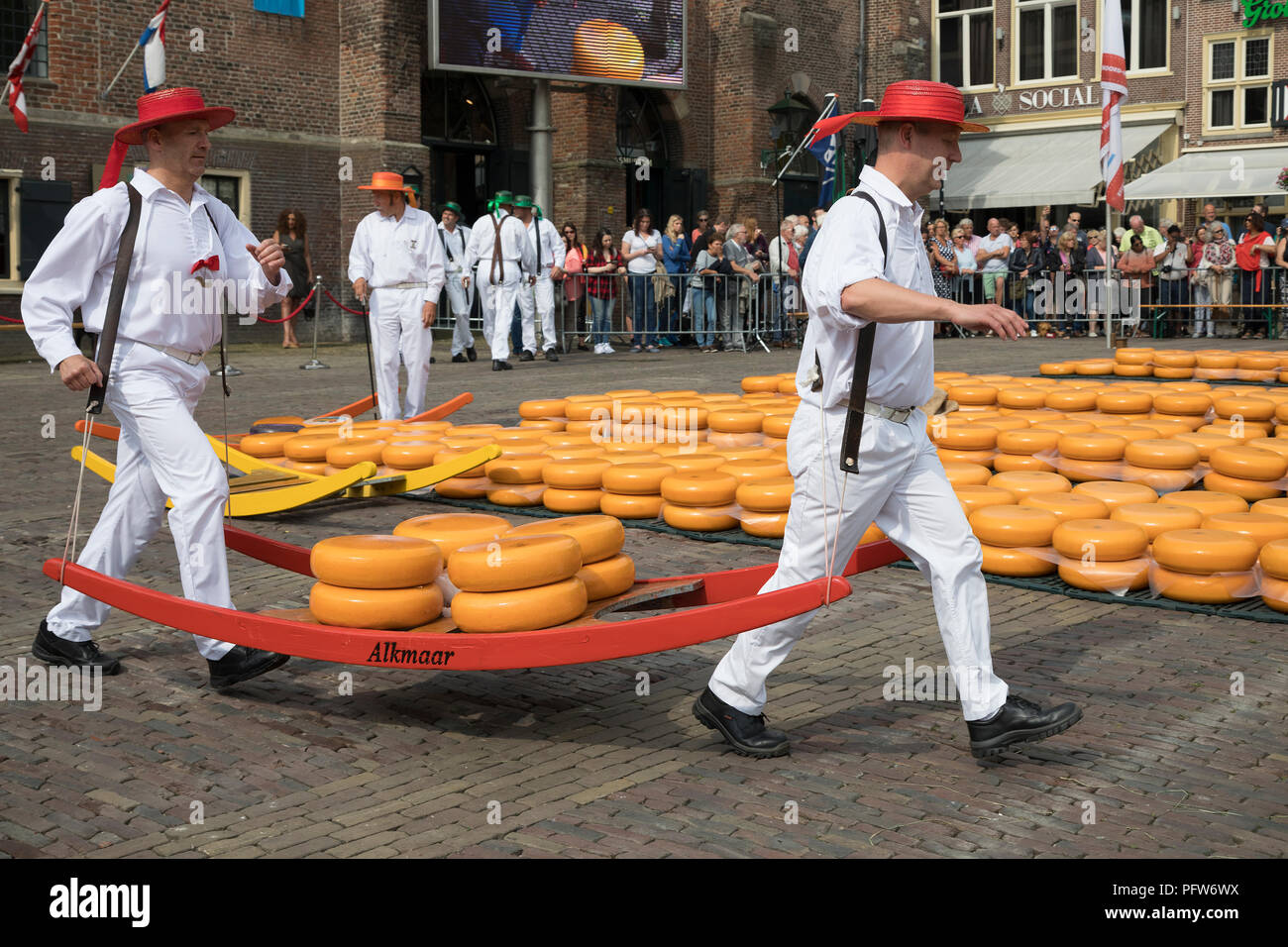 Alkmaar, Netherlands - June 01, 2018: Traditional cheese carriers carry ...