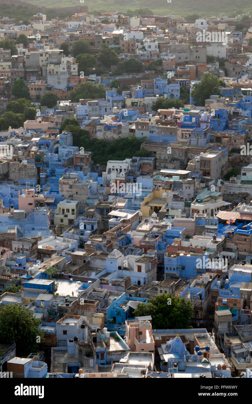View of the blue city in Jodhpur, Rajasthan, India Stock Photo - Alamy