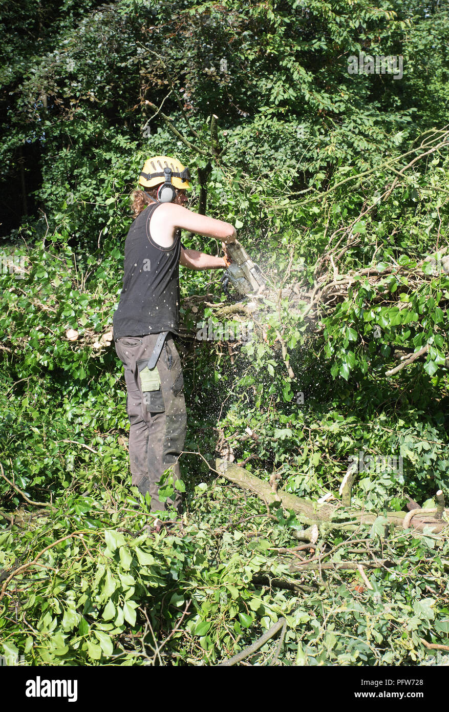 Male Tree Surgeon using a chainsaw Stock Photo - Alamy