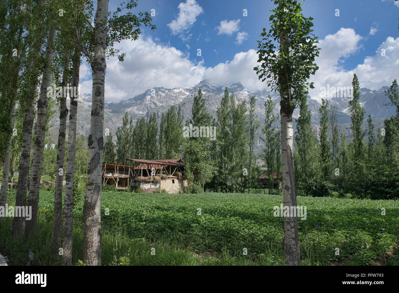 High alpine peaks behind the walnut village of Arslanbob, Kyrgyzstan ...
