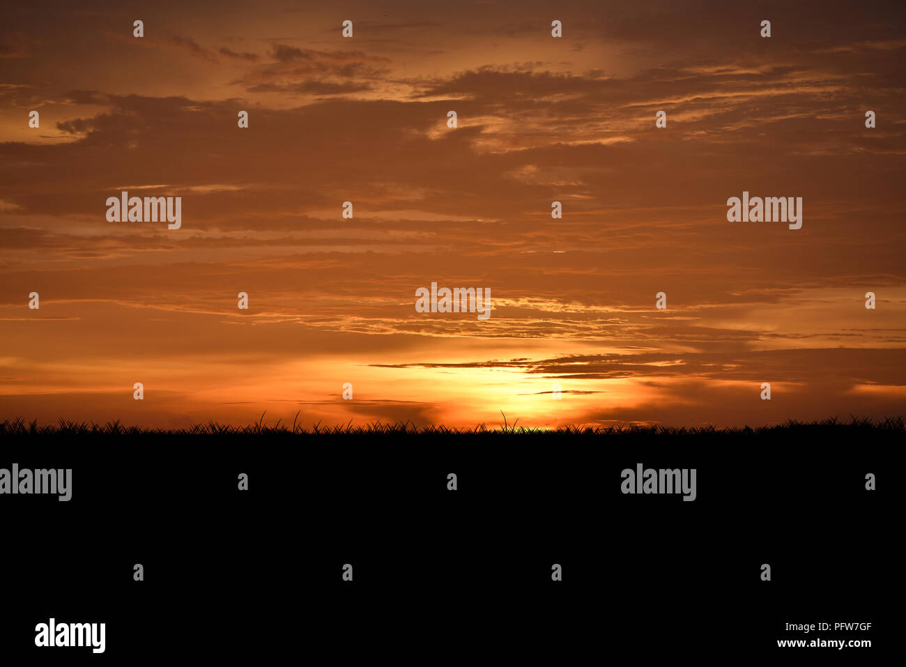 beautiful sunset with black at for ground, idea for silhouette picture ...