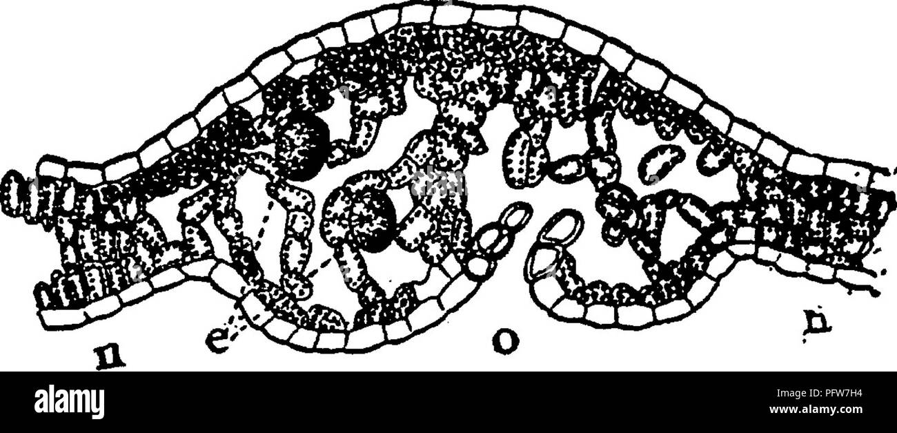 This manual provides in-depth information about insect species ...