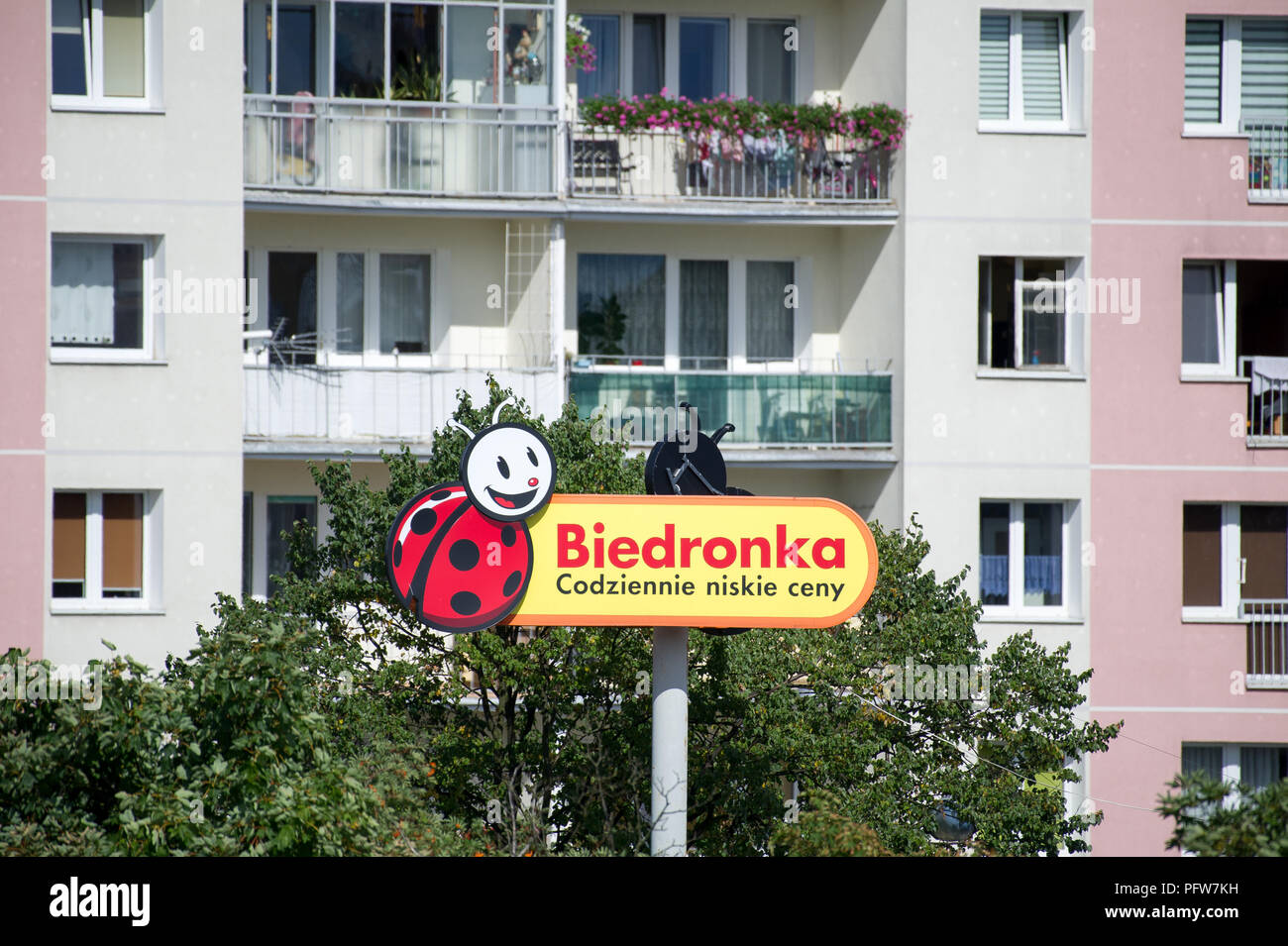 Biedronka (ladybug) owned by Portuguese company Jeronimo Martins is the ...