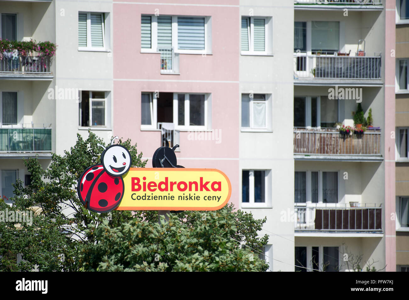 Biedronka (ladybug) owned by Portuguese company Jeronimo Martins is the ...