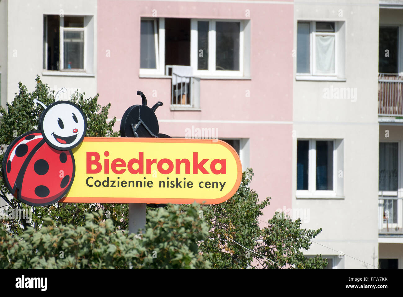 Biedronka (ladybug) owned by Portuguese company Jeronimo Martins is the ...