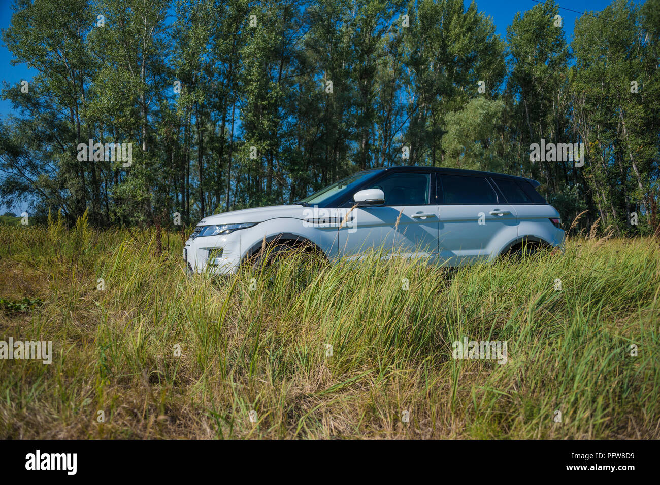 Car Land Rover Range Rover in summer Sunny weather in the summer ...