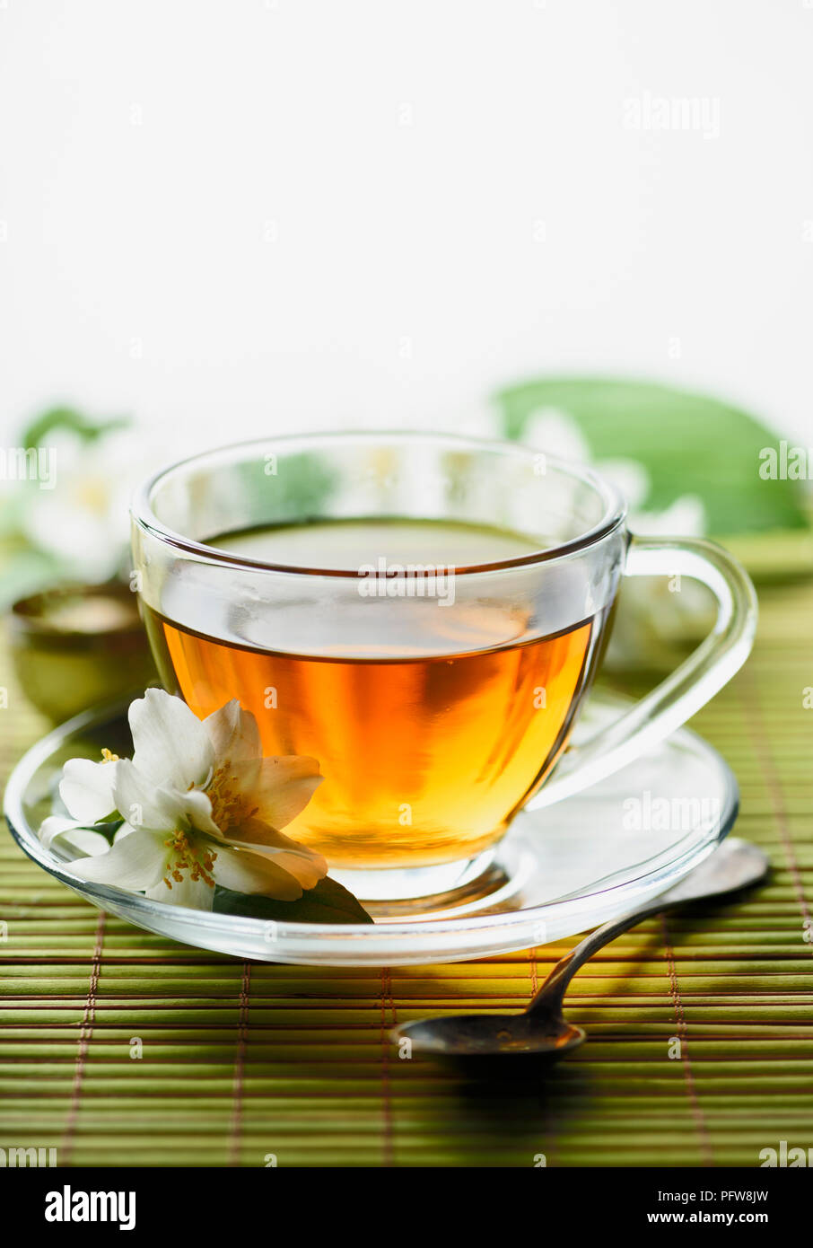 Japanese jasmine plant hi-res stock photography and images - Alamy