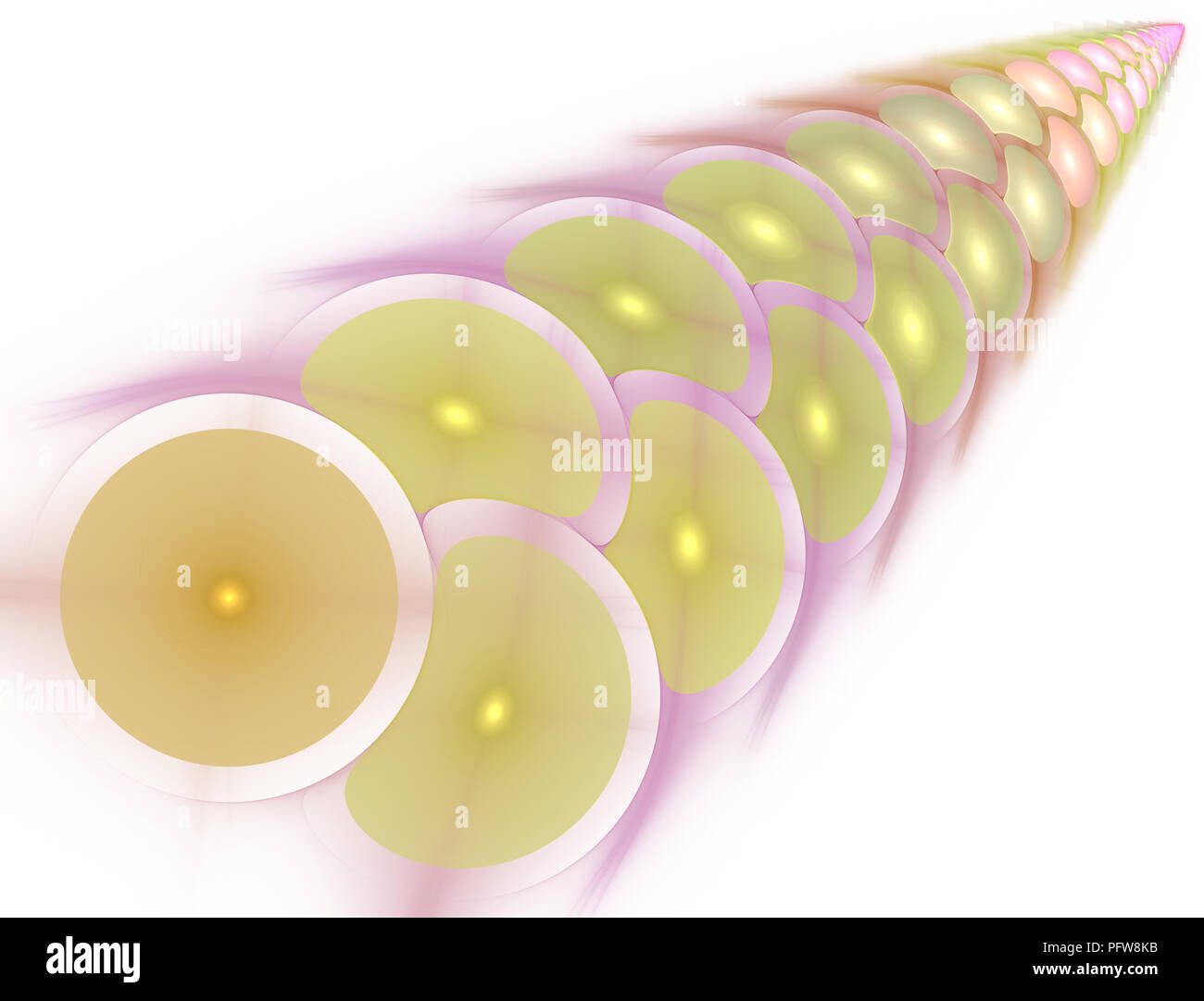 Elementary Particles series. Interplay of abstract fractal forms on the ...