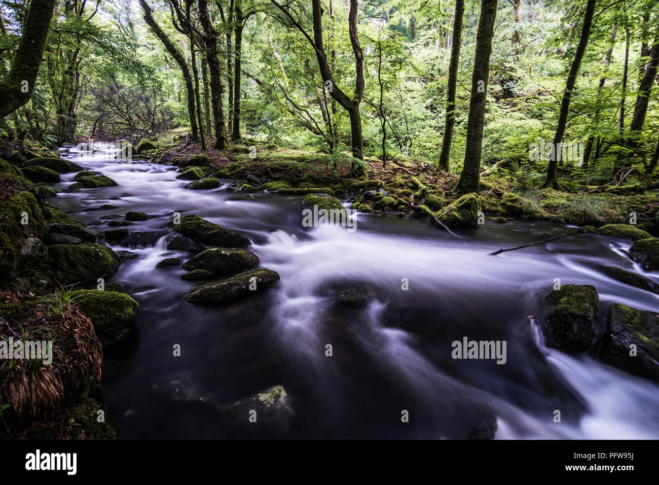 Dawn rain hi-res stock photography and images - Alamy