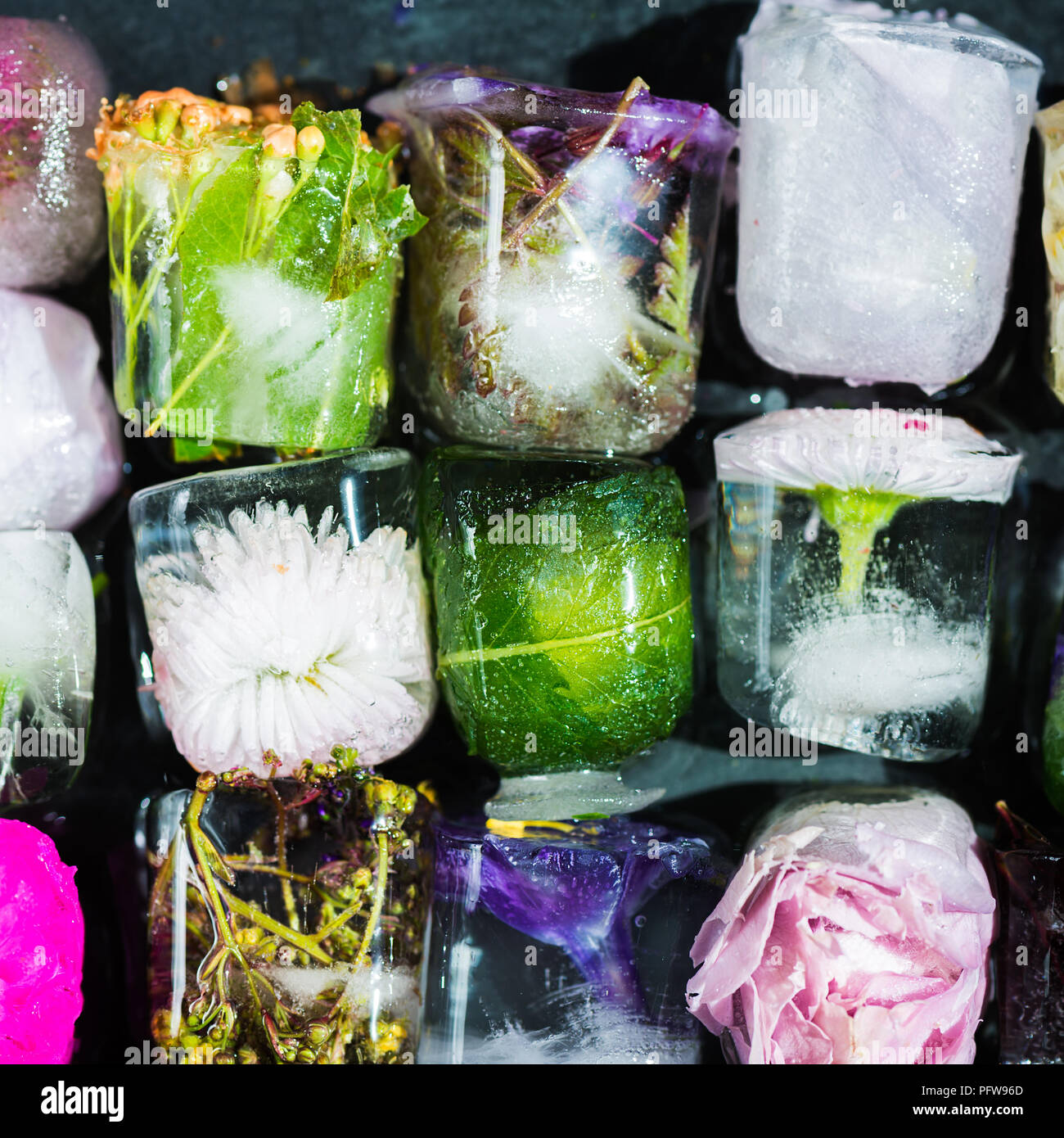 Lavender flowers ice cubes hi-res stock photography and images - Alamy