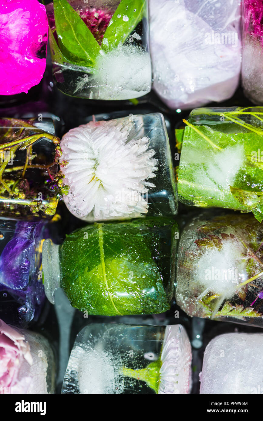 Frozen Spring Flowers in Ice Cubes on Dark Background Stock Photo - Alamy