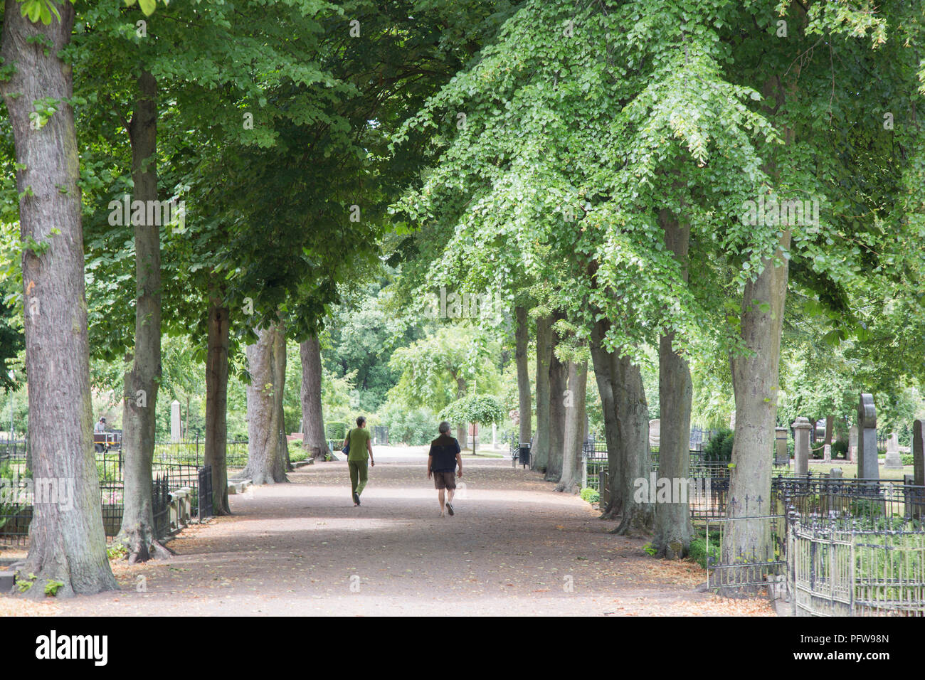 Path in Old Cemetery Park, Malmo, Sweden Stock Photo - Alamy