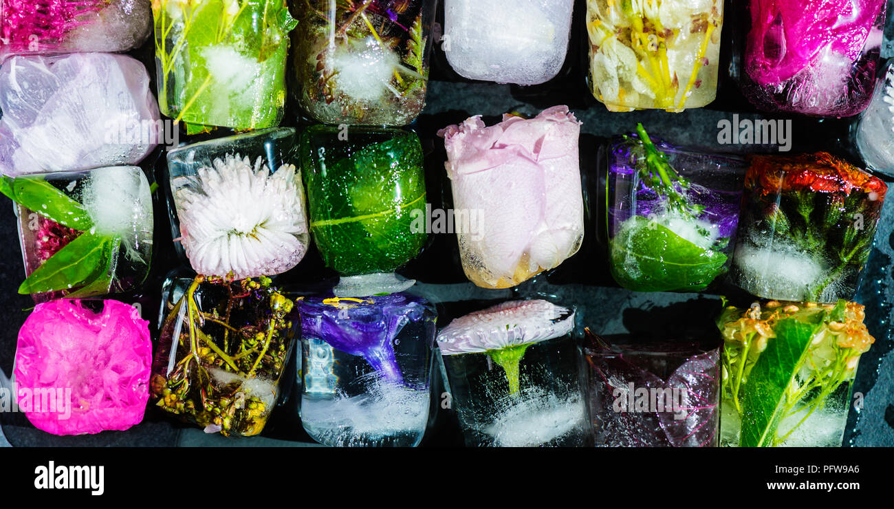 Frozen Spring Flowers in Ice Cubes on Dark Background Stock Photo - Alamy