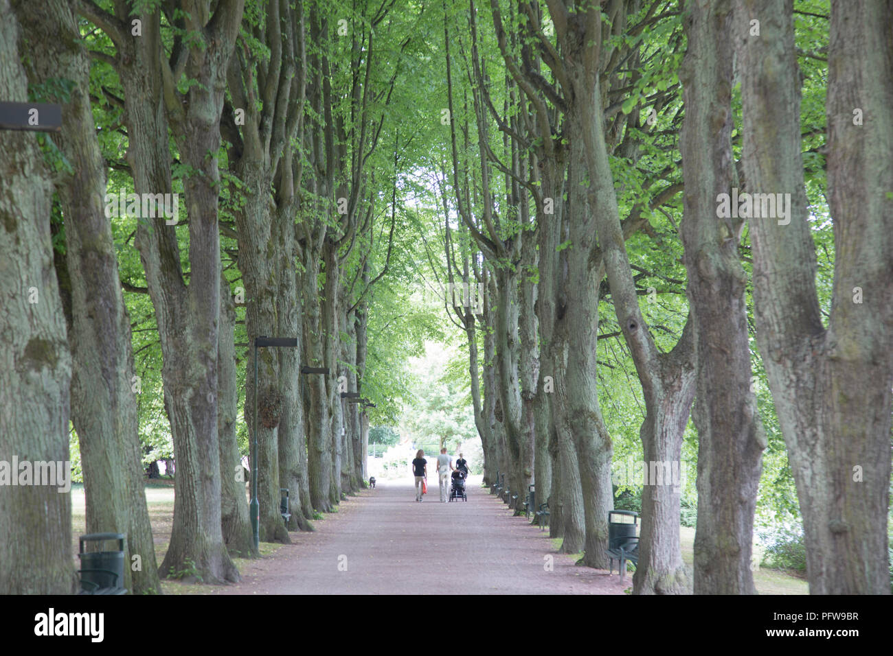 Footpath, Slottstradgardens Park; Malmo; Sweden Stock Photo - Alamy