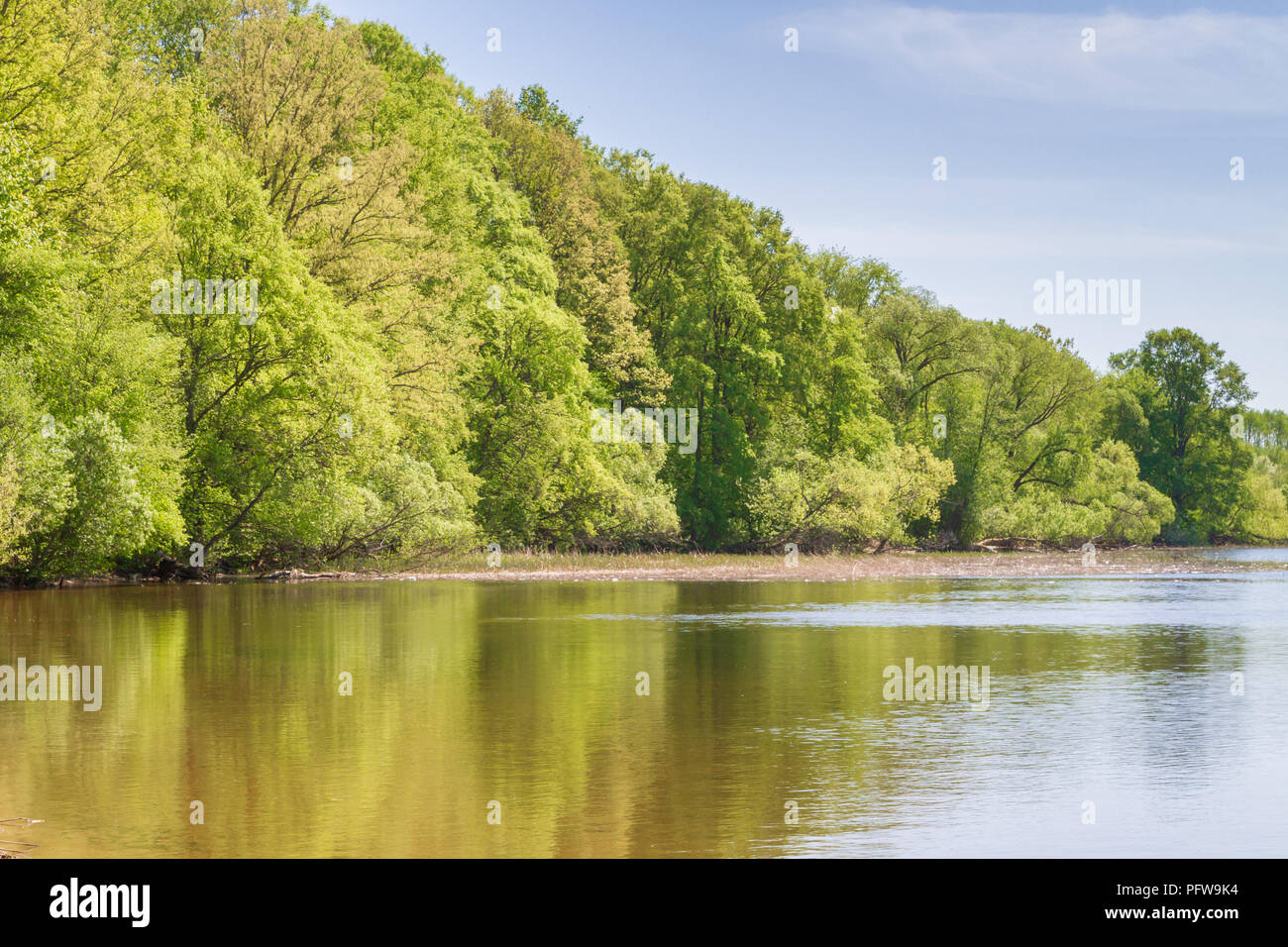 Nature in spring in a village by the lake Stock Photo - Alamy