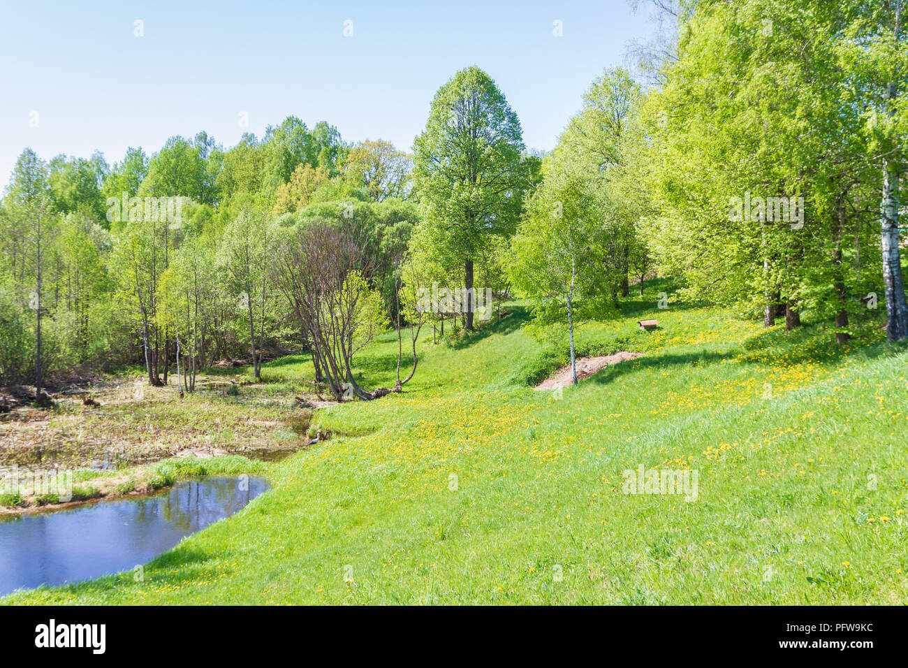 Nature in spring in a village by the lake Stock Photo - Alamy