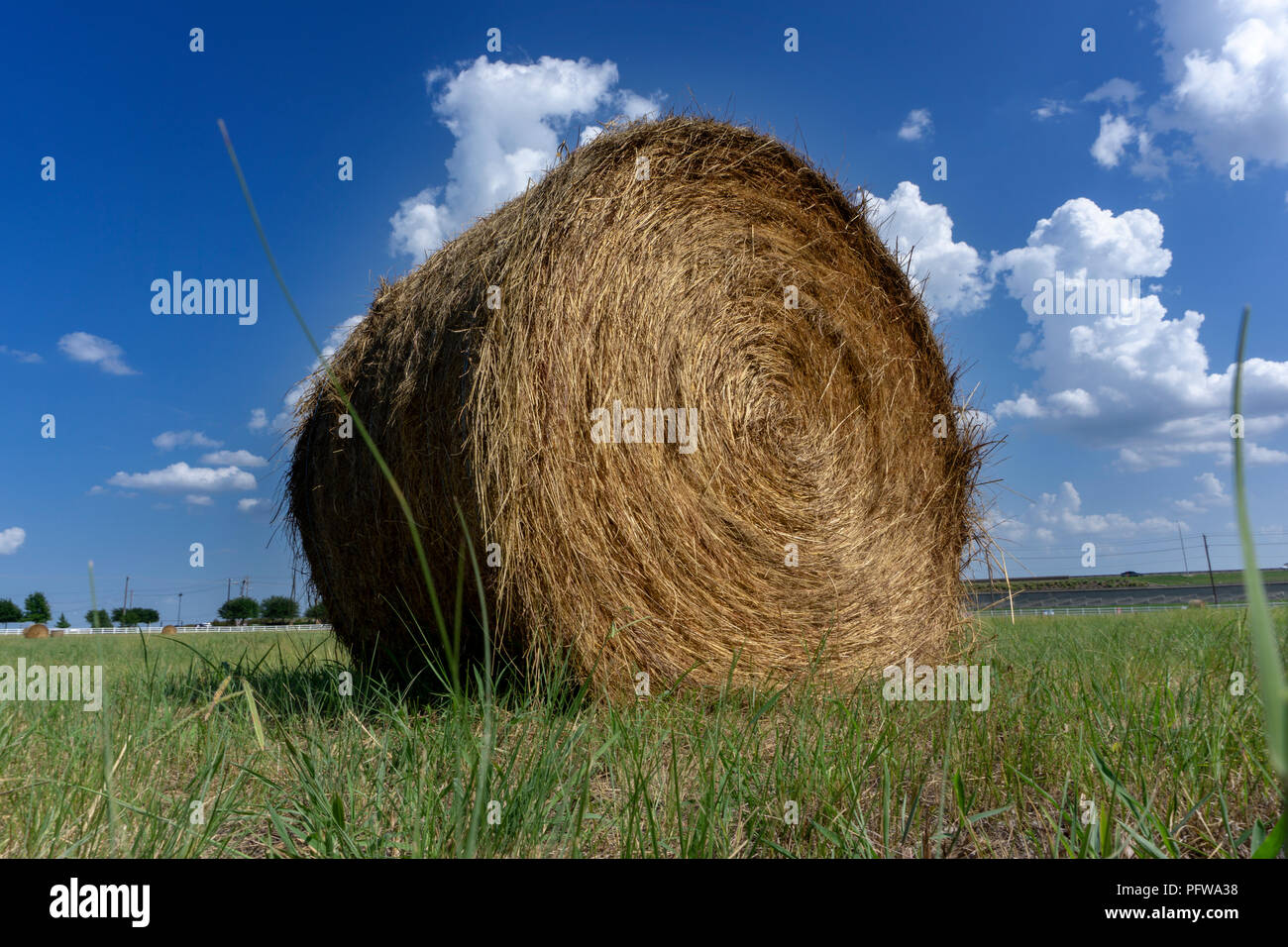 Hay bales in a field next to State highway 121 (aka Sam Rayburn Tollway ...