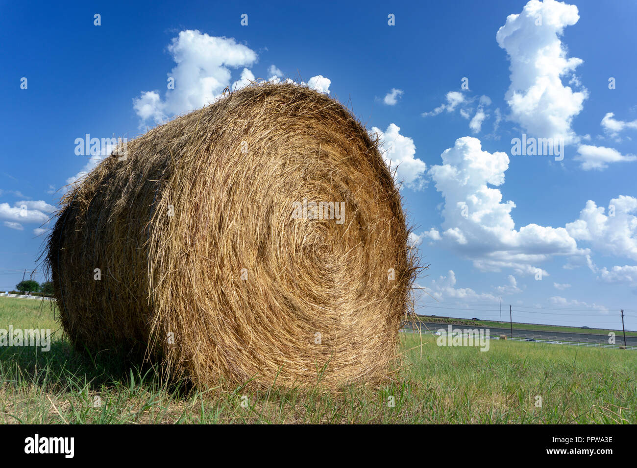 Hay bales in a field next to State highway 121 (aka Sam Rayburn Tollway ...