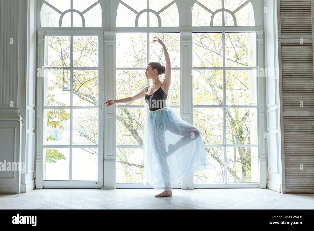 Ballerina in a blue ballet skirt. Beautiful graceful ballerine practice ballet positions in tutu ...