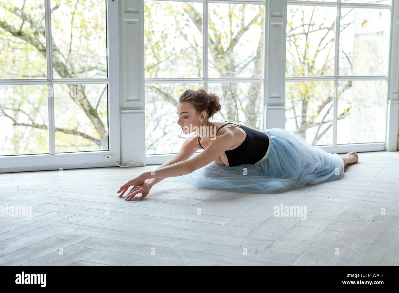 Ballerina in a blue ballet skirt. Beautiful graceful ballerine practice ballet positions in tutu ...