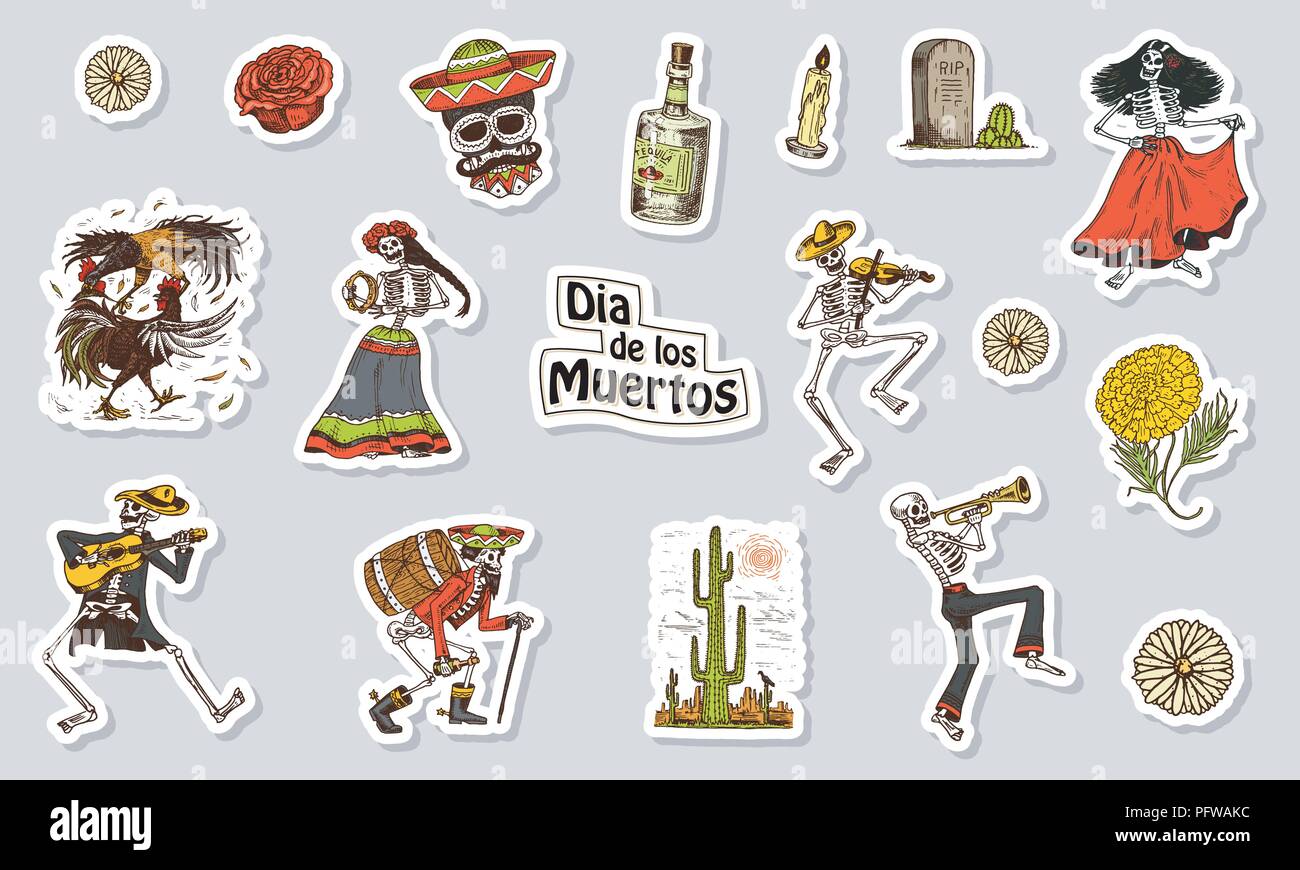 Rib violin Stock Vector Images - Alamy