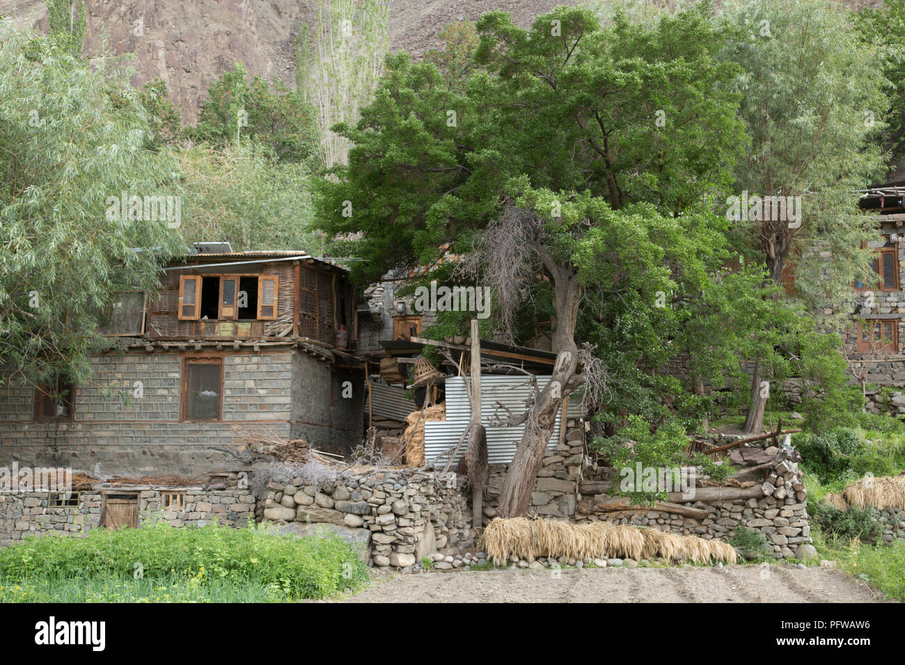 A house surrounded by fields in Turtuk village, Shyok valley, Ladakh ...