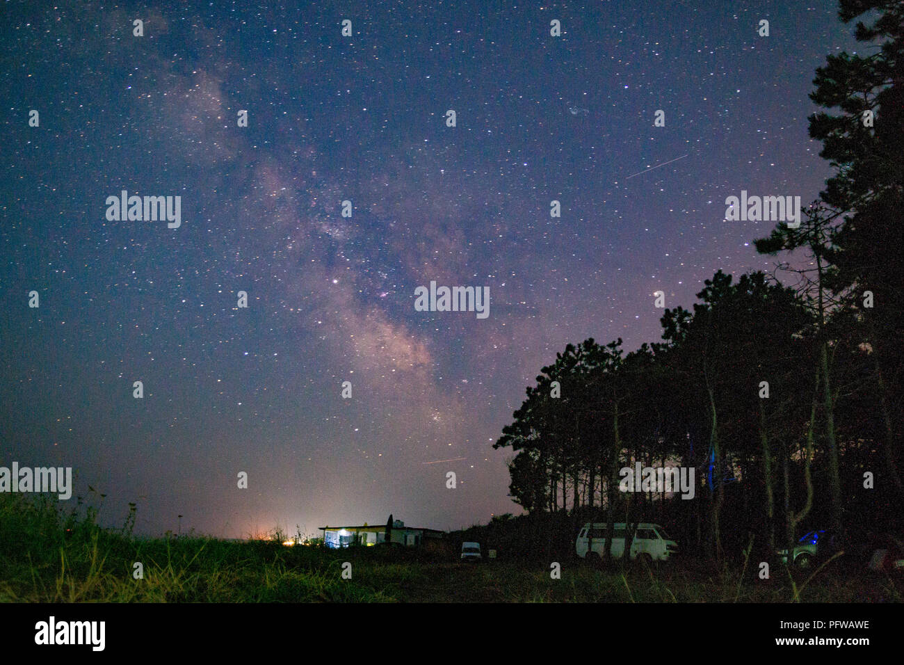 Camp forrest with the Milky Way at night Stock Photo - Alamy