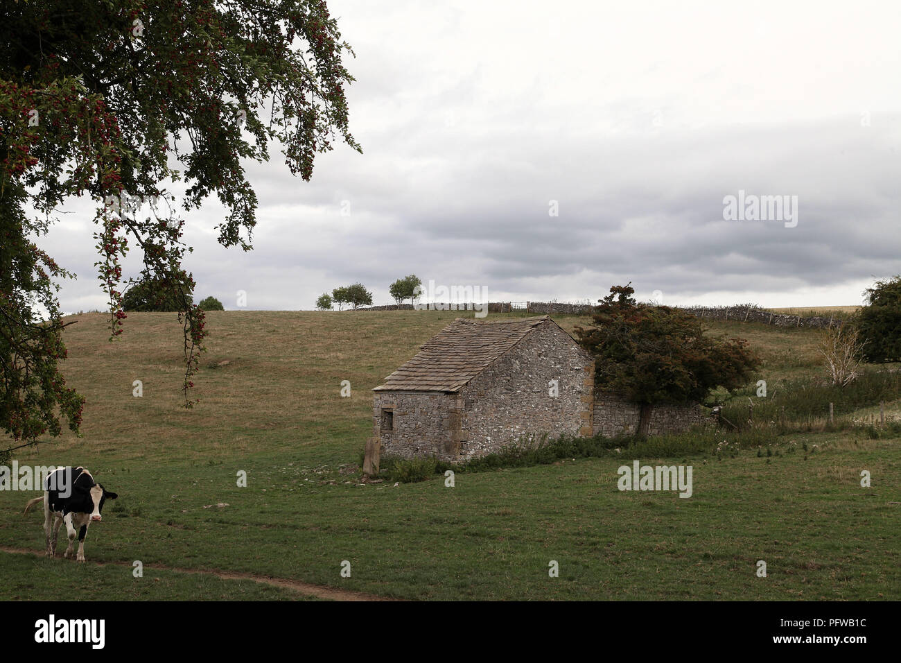 Traditional limestone barn in the Derbyshire Peak District National ...
