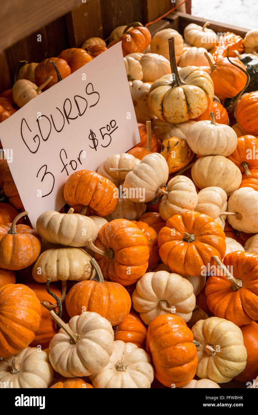 Gourd market hi-res stock photography and images - Alamy
