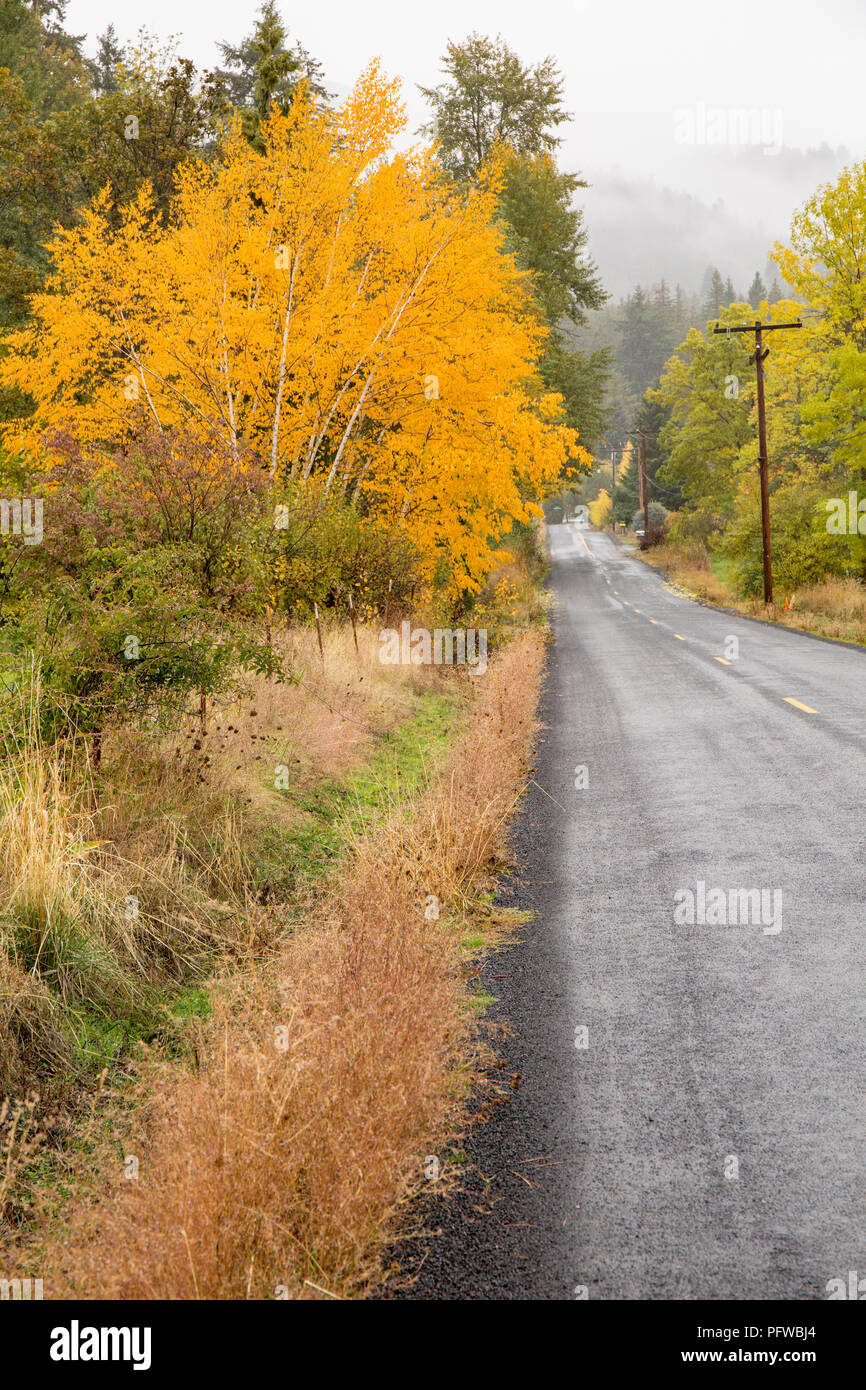 Rainy drive hi-res stock photography and images - Alamy