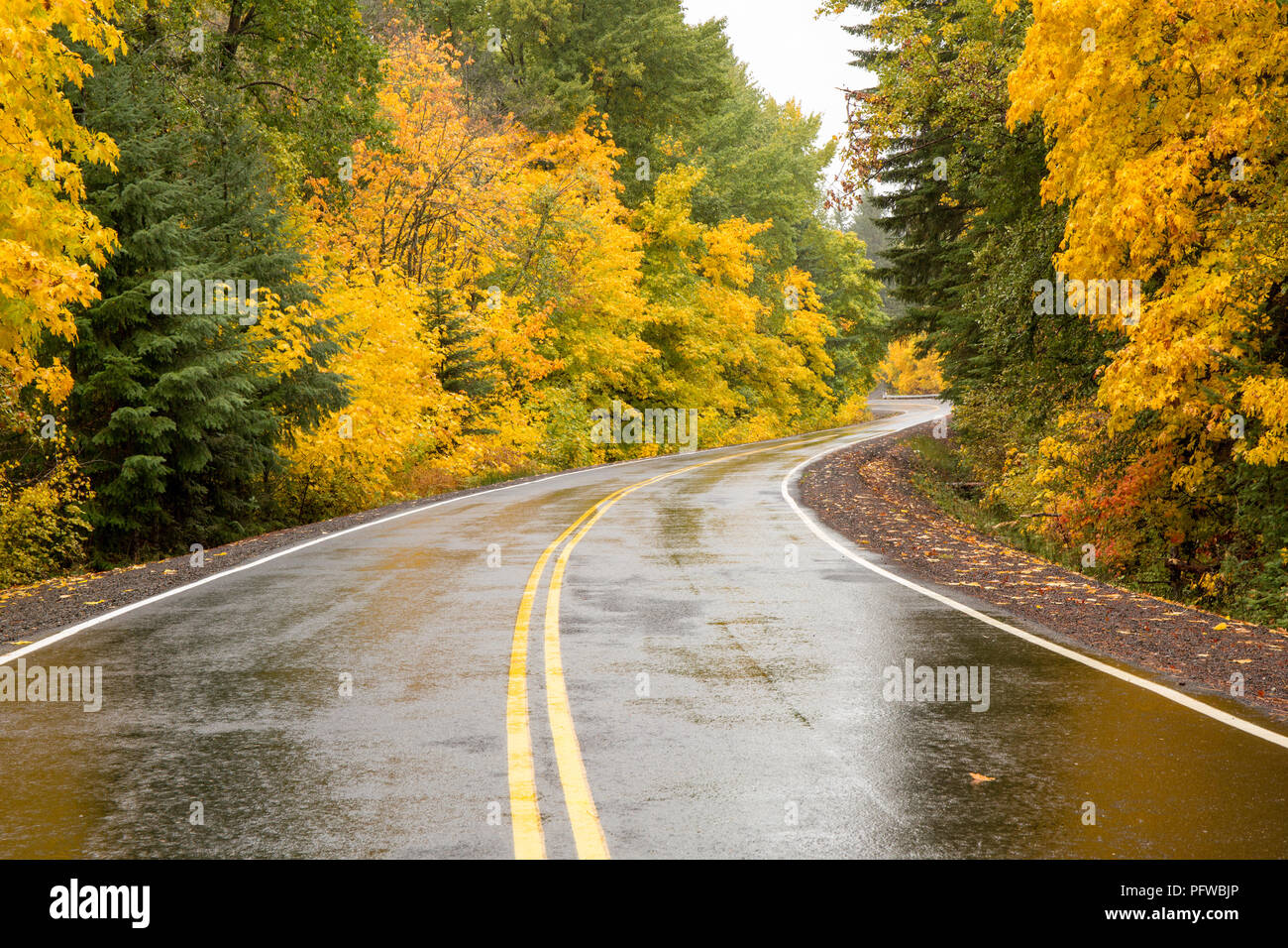 Curvy road oregon hi-res stock photography and images - Alamy