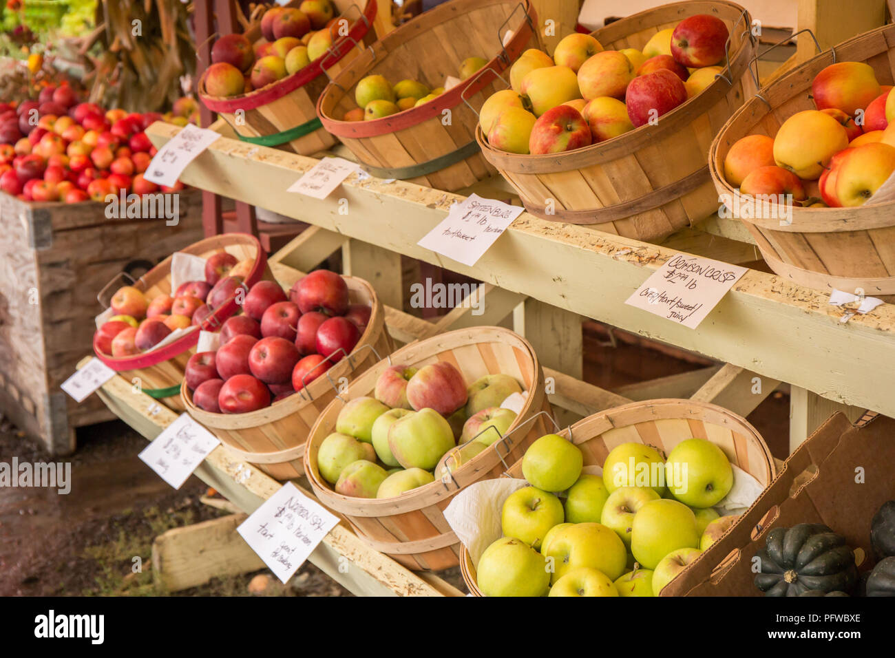 Northern spy apple variety hi-res stock photography and images - Alamy