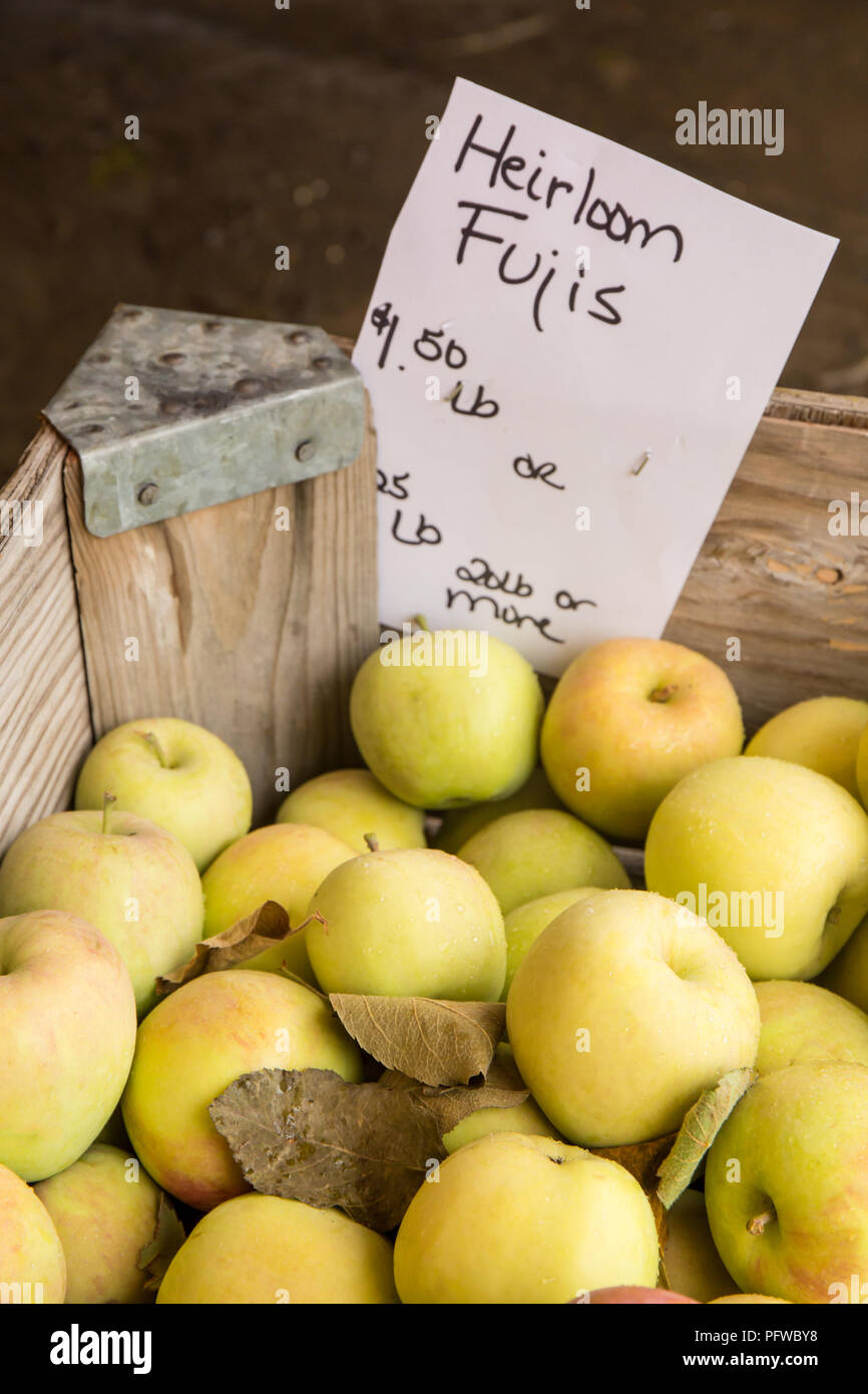 Usa oregon hood river apple hi-res stock photography and images - Alamy