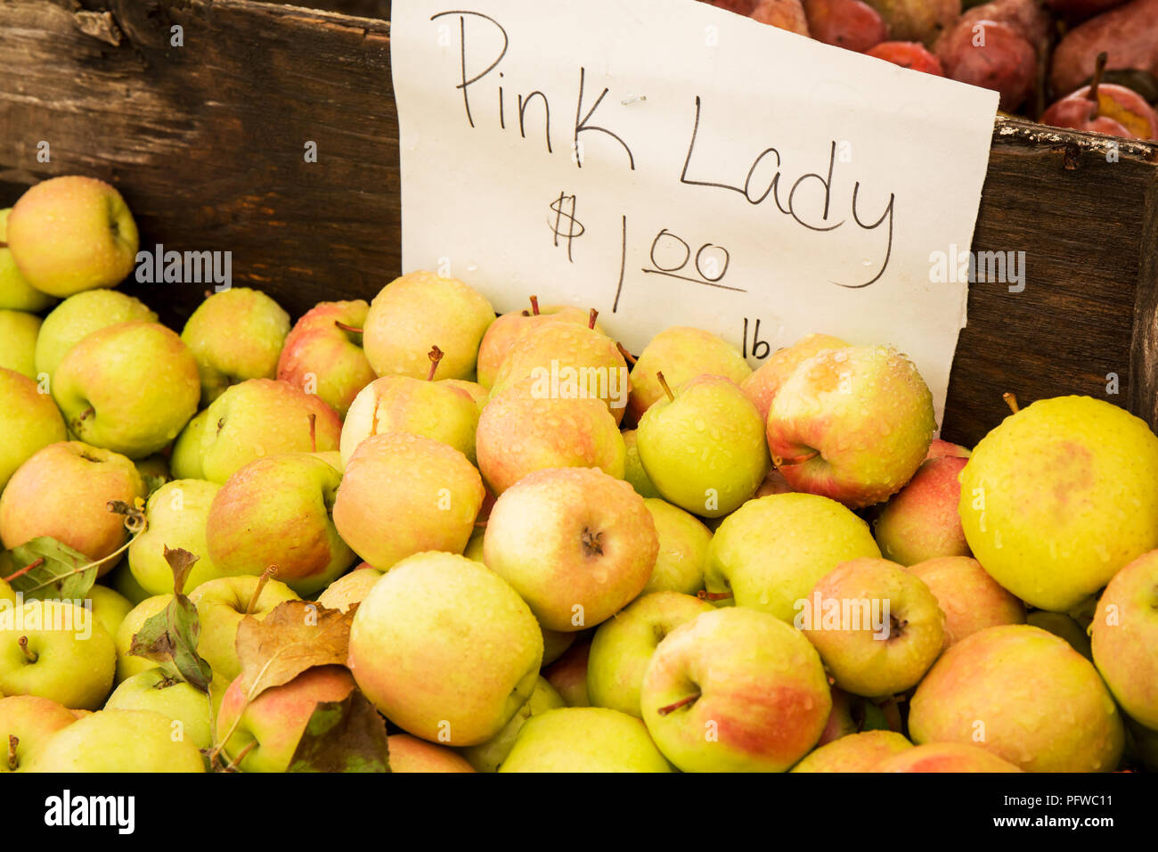 Hood River, Oregon, USA. Pink Lady apples for sale at a fruit stand ...