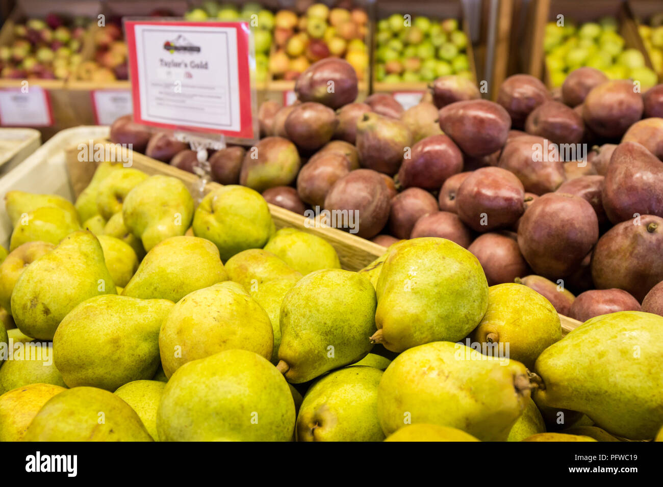 Hood River, Oregon, USA. Anjou and Taylor's Gold pears for sale at a ...