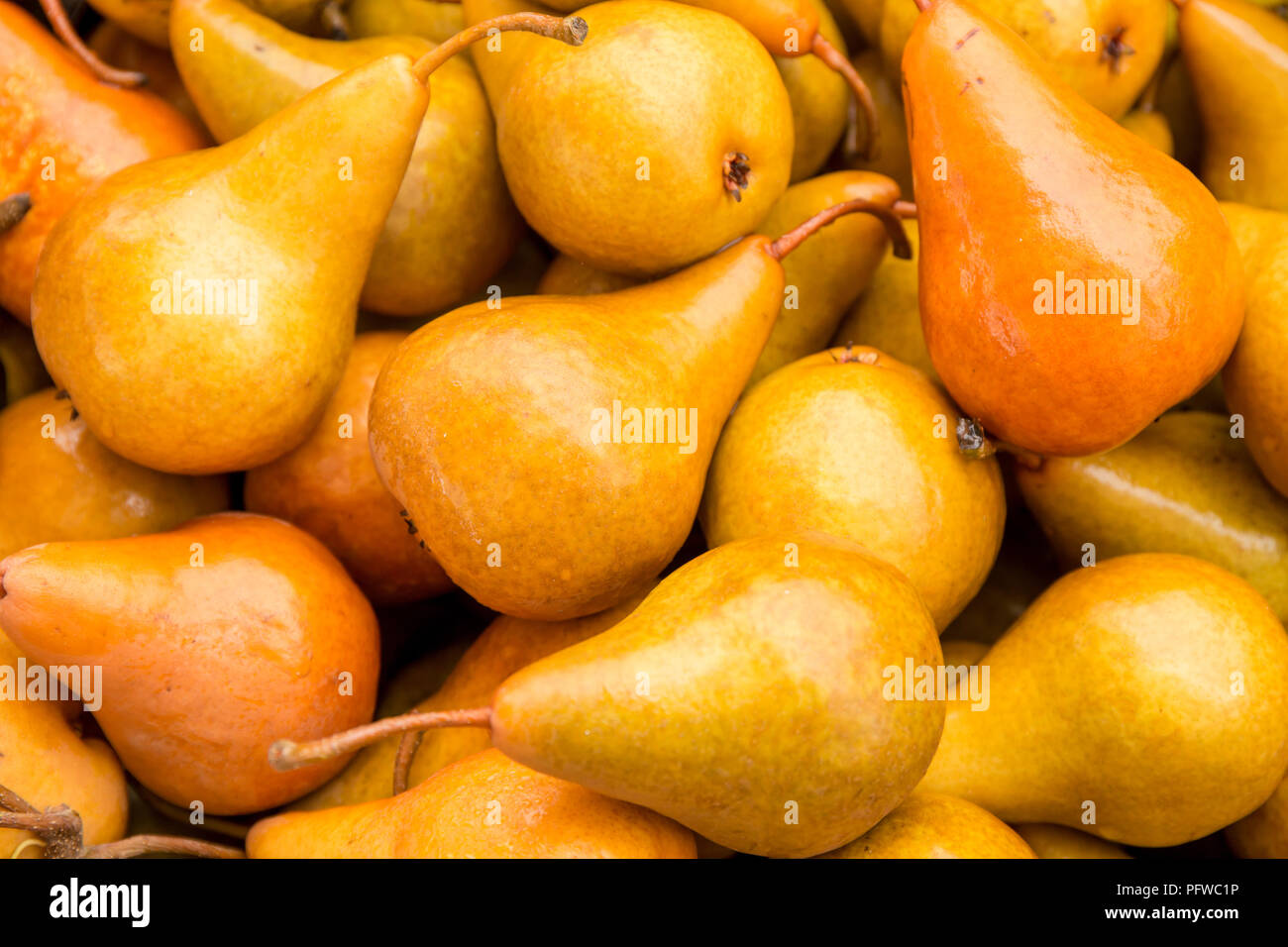 Bosc hi-res stock photography and images - Alamy