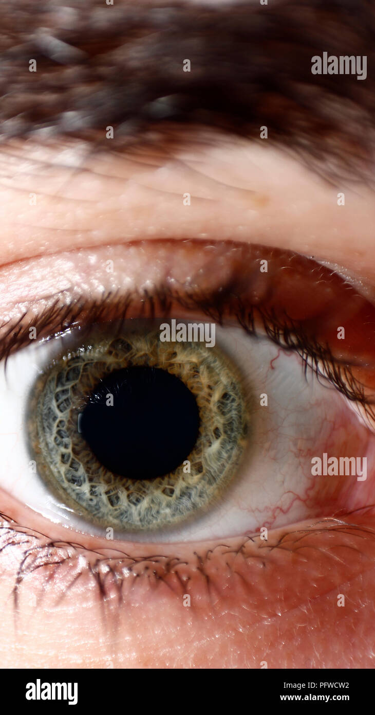 A close up of an eye in low lighting Stock Photo - Alamy