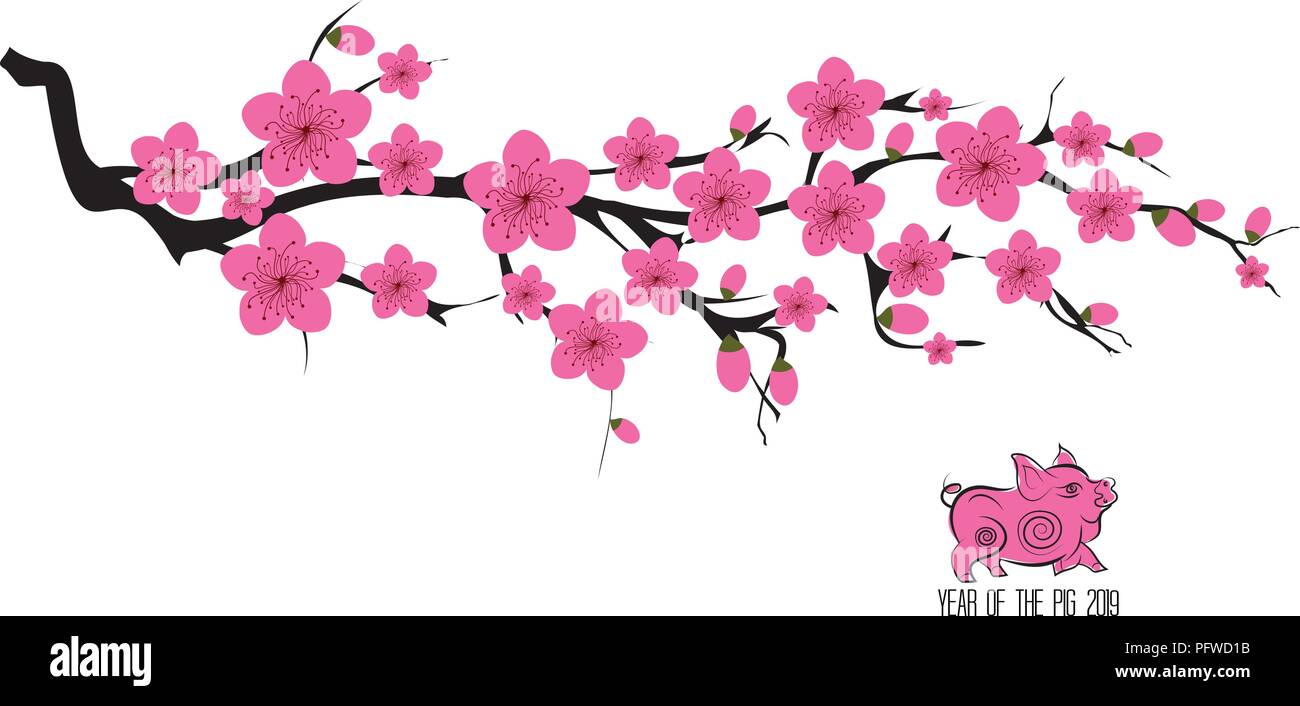 Japan cherry blossom branching tree vector illustration. Japanese ...