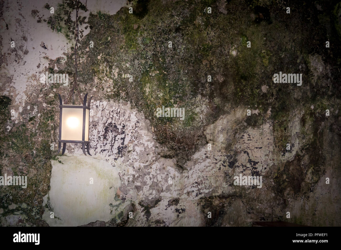 Lamp mold hi-res stock photography and images - Alamy