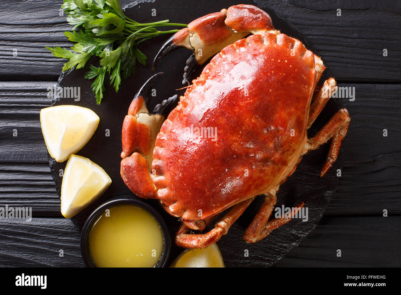 beautiful cooked brown edible crab close-up on a black background ...