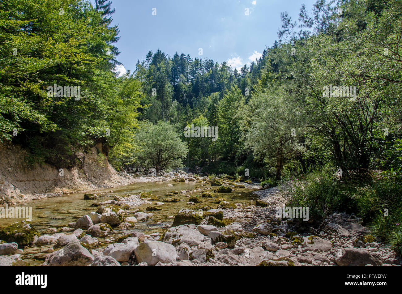Dry river in a forest Stock Photo - Alamy