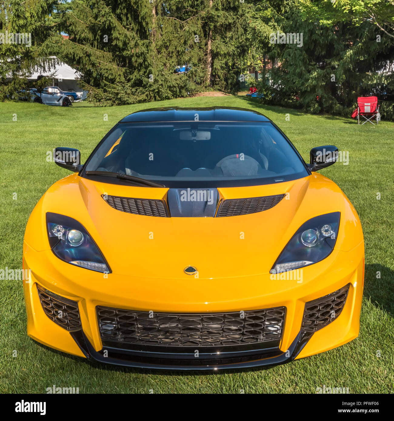 Yellow lotus evora hi-res stock photography and images - Alamy